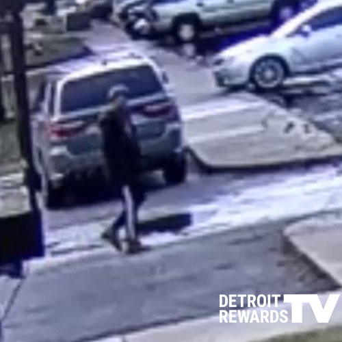 Homicide in the 5000 block of E. Outer Dr. | City of Detroit